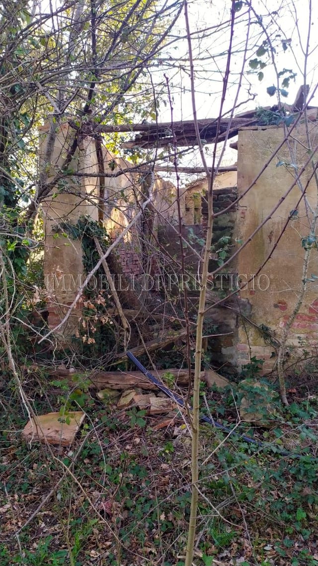 Bellissimo Casale Diruto Da Restaurare Immerso nel Verde delle Colline Pisane della Valdera ...