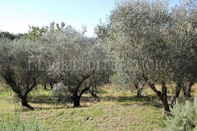 Bellissimo Casale Diruto Da Restaurare Immerso nel Verde delle Colline Pisane della Valdera ...