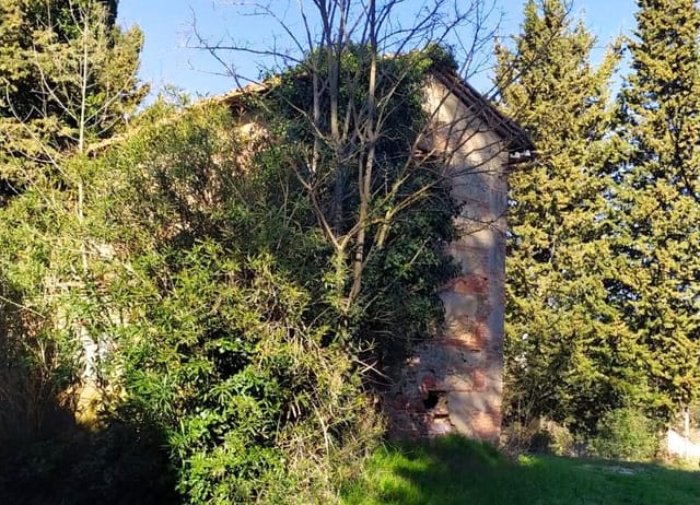 Bellissimo Casale Diruto Da Restaurare Immerso nel Verde delle Colline Pisane della Valdera ...